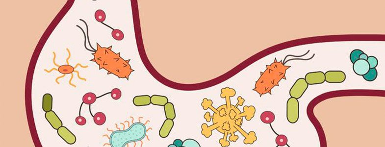 SIBO Symptoms, Diagnosis, & More - Coreflex Wellness